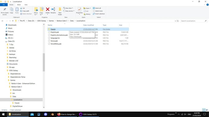 French folder for Bg3 | Windows Forum