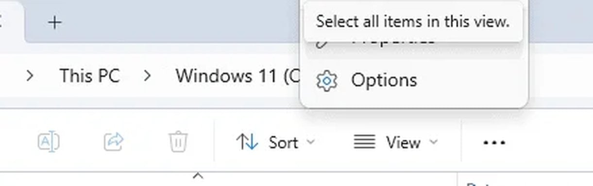File explorer "see more" tab always opens upwards 24H2 | Windows Forum